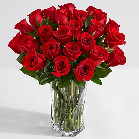 Two Dozen Long Stemmed Red Roses - FlowerMessenger