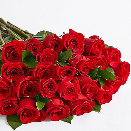 Two Dozen Long Stemmed Red Roses - FlowerMessenger